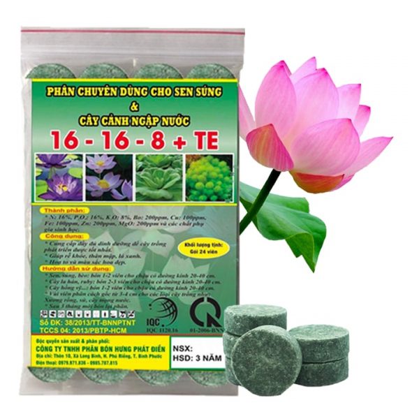 Cách bón phân cho cây hoa sen súng hiệu quả: Bí quyết giúp cây phát ...